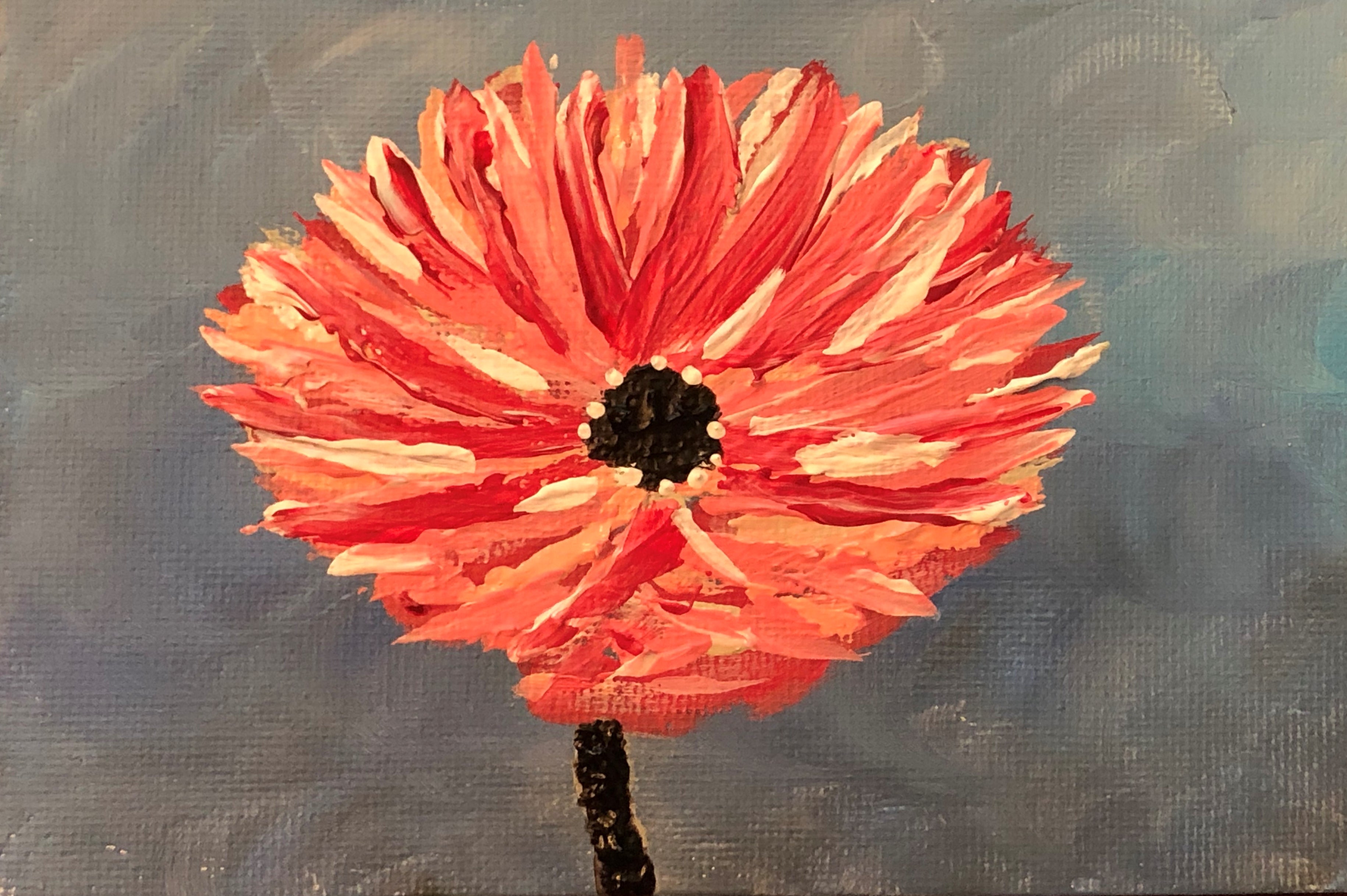 Peony by David Cheesman