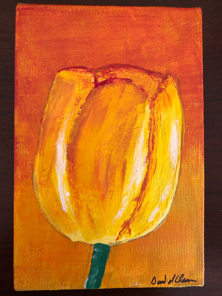 Tulip Sunset by David Cheesman